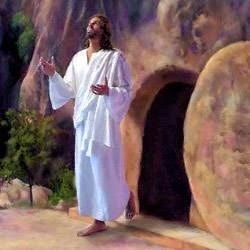 Your Lamb Shall Be Without Blemish: Passover Series Part 2 – Emmaus ...
