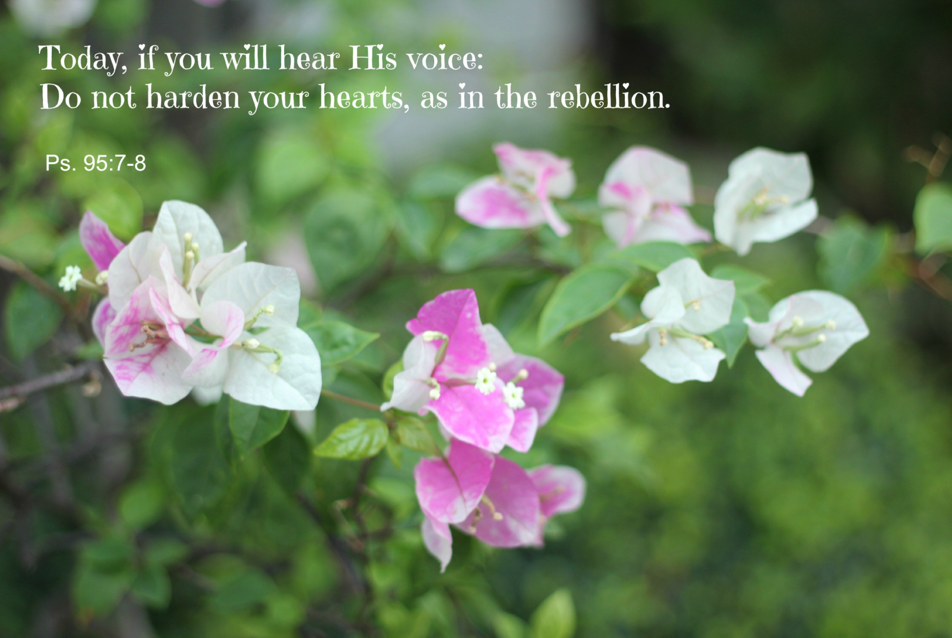 Faith To Come Out; Hesitant To Go In? – Emmaus Road Ministries