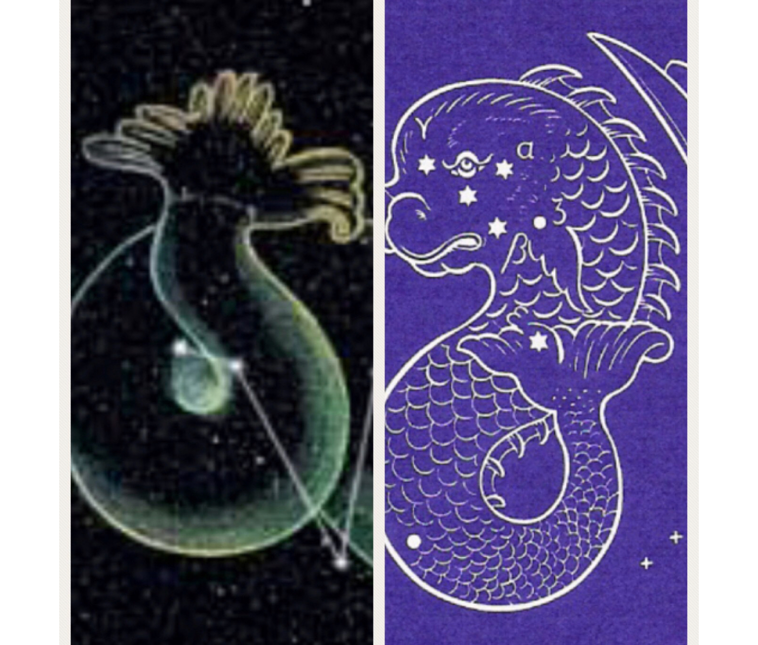 The REAL Story In The Stars Part 15: Delphinus, The Dolphin. – Emmaus ...