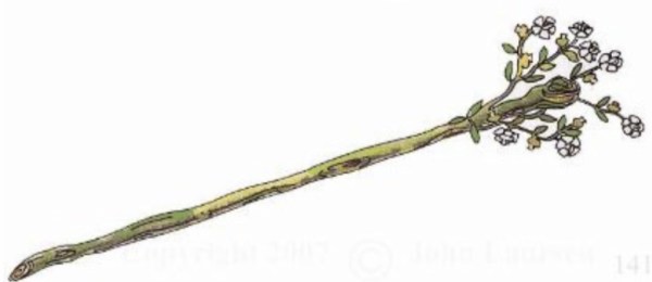 Ephraim And The House Of Judah: Part 8 of 9. – Emmaus Road Ministries