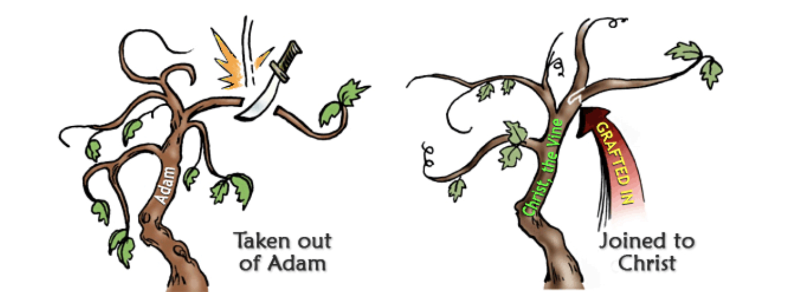 Paul’s Ministry Among The Gentiles: Part 13 of 16—Rightly Dividing The ...